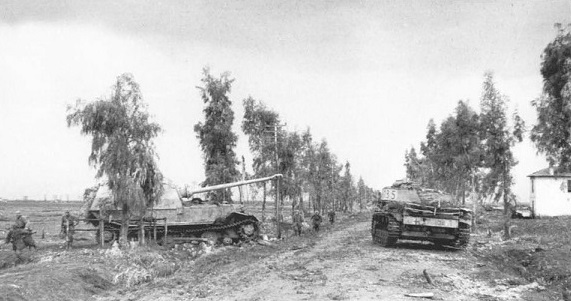 Elefants in Italy 1944 – Mike's Research