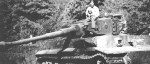 Tigers in Italy 1944-45 – Mike's Research