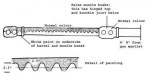 Sherman Firefly Tank 1944-45 – Mike's Research