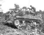Hedgerow Cutters 1944-45 – Mike's Research